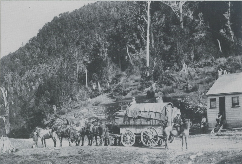 a freight wagon travelling through Tiroroa, lower Buller Gorge; KWC-I ...