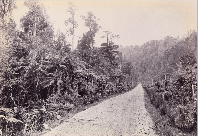 the Nine Mile road to Te Kuha; KWC-I-2749 | eHive