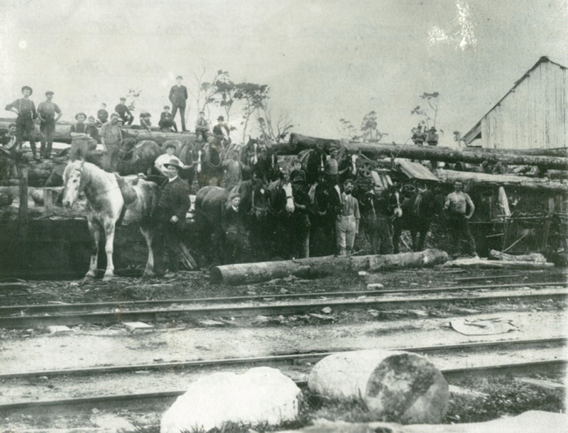 Bowater & Bryan's first timber mill at Cape Foulwind; KWC-I-2368 | eHive