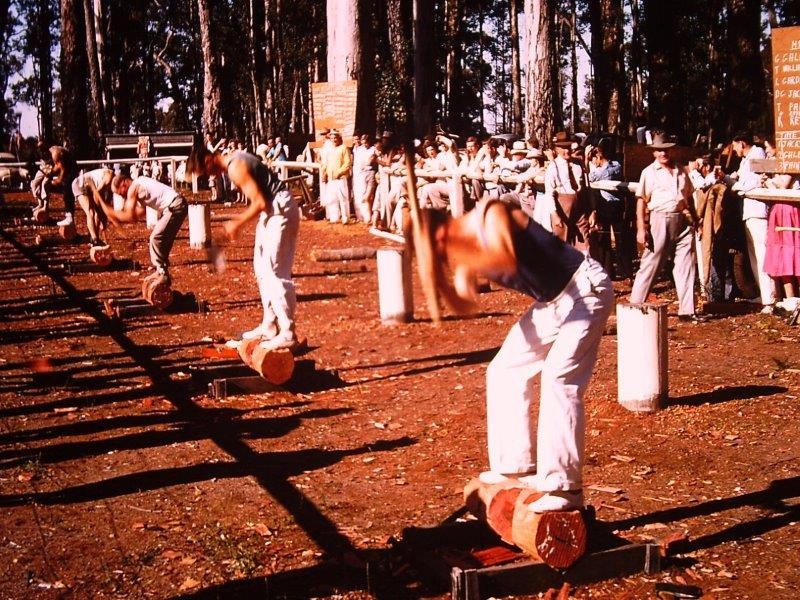 Standing log chop competition on the oval; 1960's; FODV193 | eHive