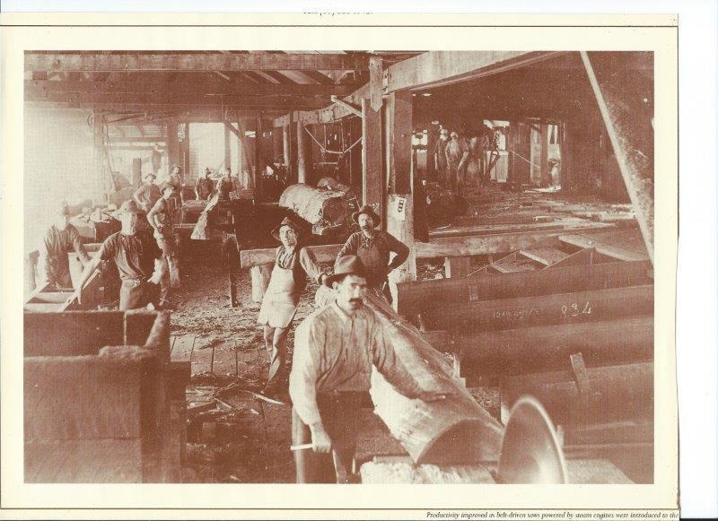 Men working in steam timber mill; Unknown; Early 1900s; FODV135 | eHive