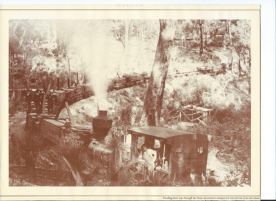 Steam locomotive pushing sawn timber through forest Steam locomotive ...