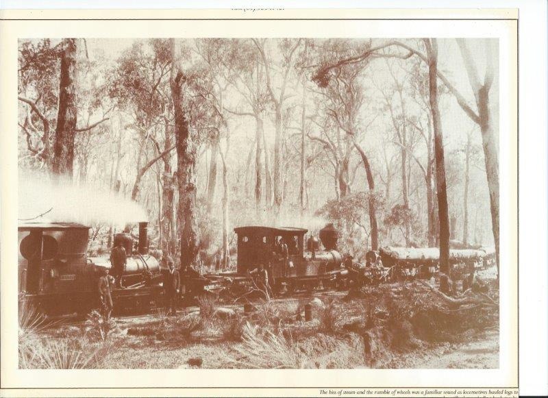 Steam locomotives pushing log cars in forest; Unknown; Early 1900s ...