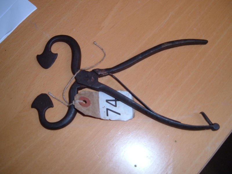 Sugar snips; 1880; AFDHM00220 | eHive