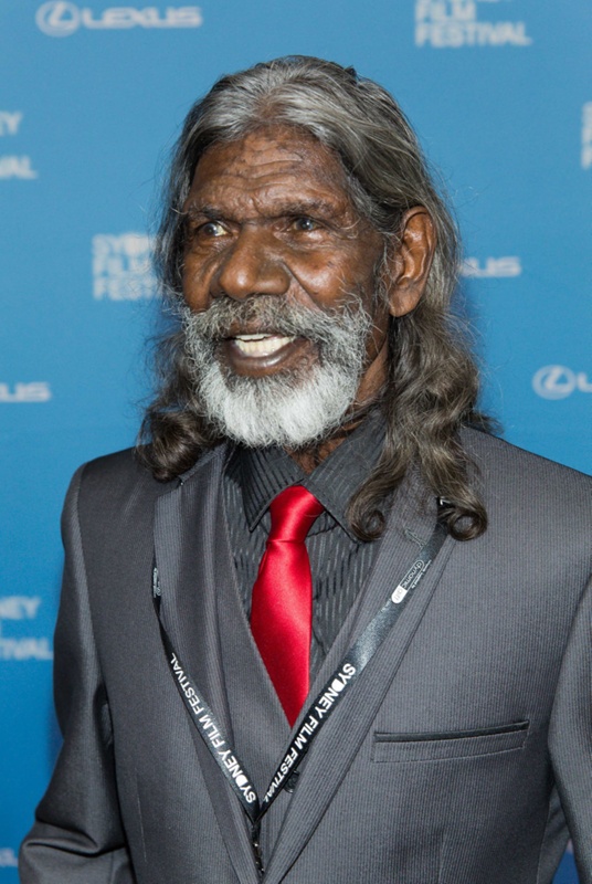 David Gulpilil, Opening Night Red Carpet; 2016; SFF-PH1689 | eHive