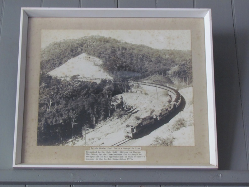 Photograph - "Triple Header Diesel Pulling Coal Wagons on Goonyella ...