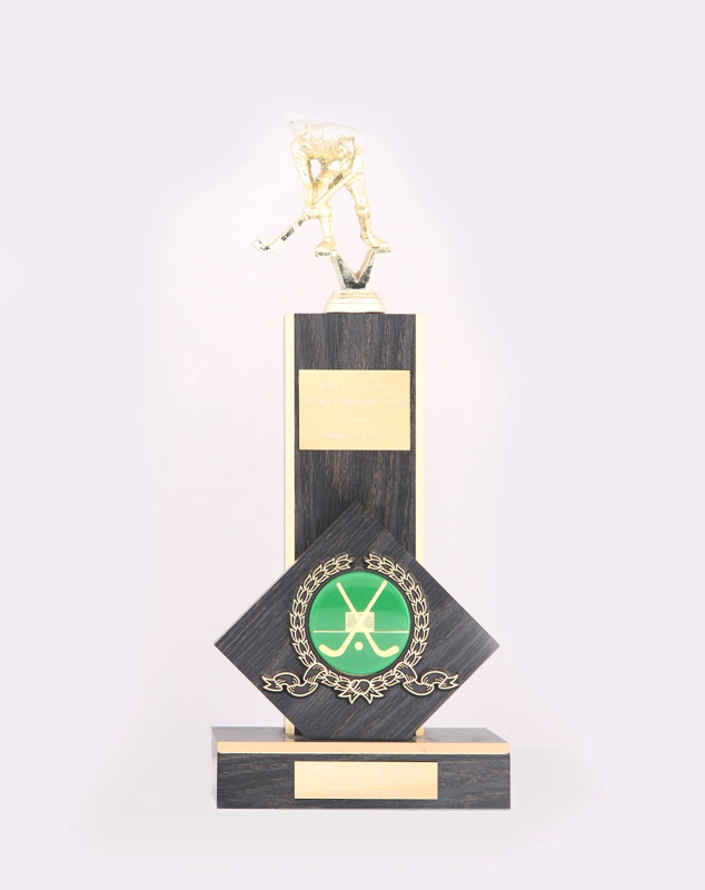 David A Walker Trophy. For Competition between Barton and Briars Women ...