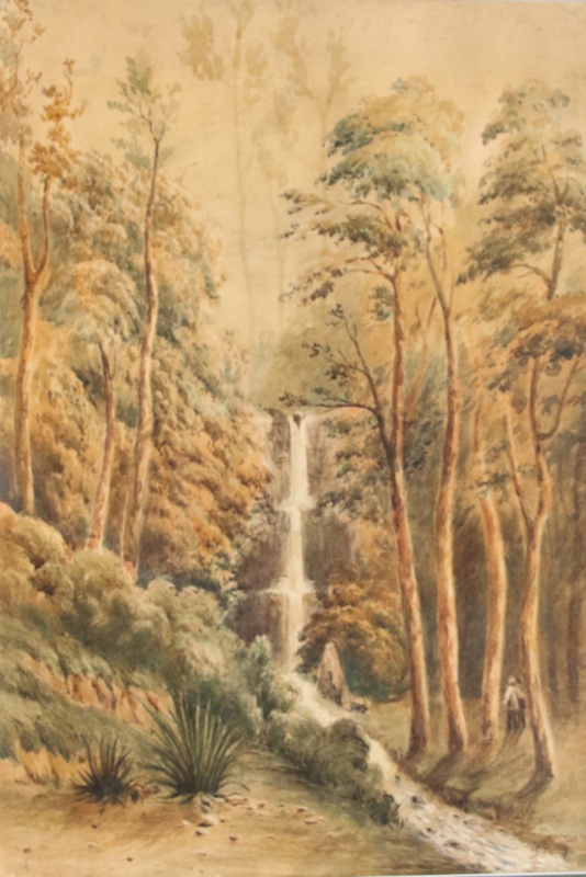 Untitled - Waterfall and Bush Scene (probably Coromandel); Warner ...