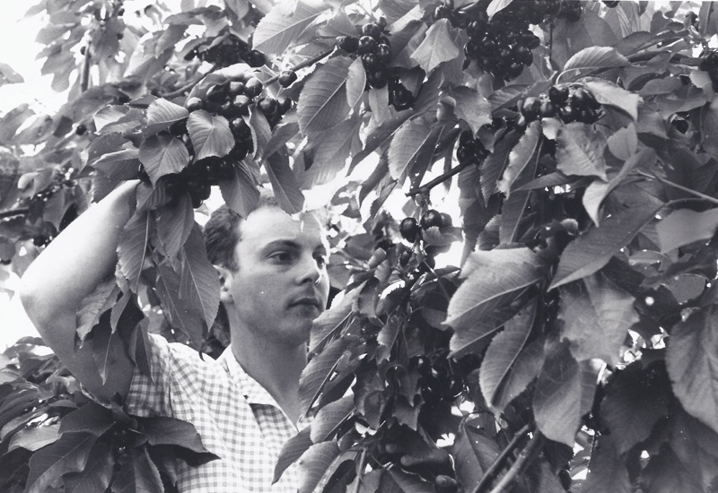 Lenswood Research Centre : Andrew Granger; 1987 | eHive