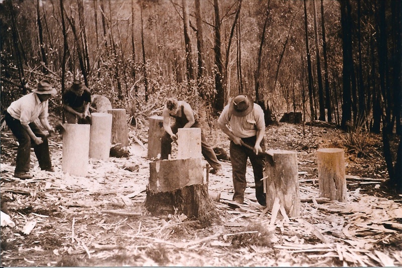 Probert's gang preparing the chopping logs for the Royal Adelaide Show ...