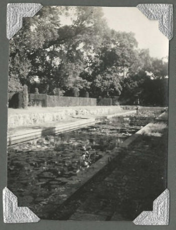 HCH 1951 Lily Ponds Portrait; 1951; 11012 | eHive
