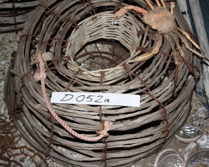 Crayfish Pot, cane; CM.D052a | eHive