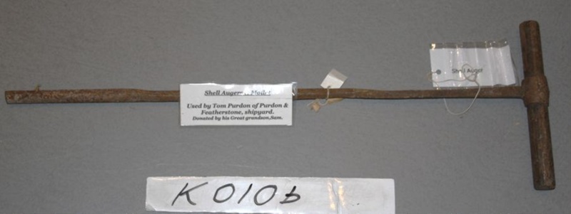 Auger, shell; CM.K010b | eHive