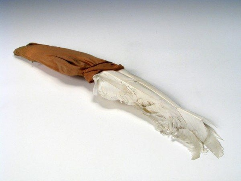 Duster, Goose Wing; CM.B075b | eHive