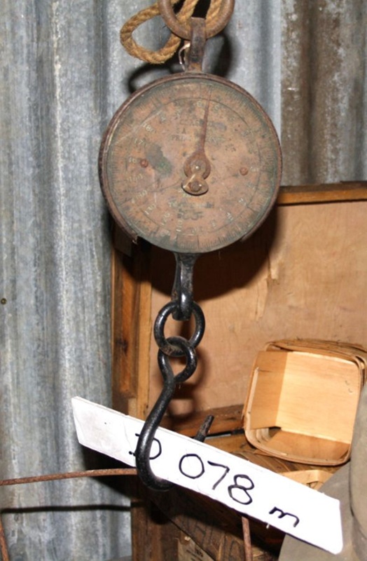 Scales, Spring balance; CM.D078m | eHive