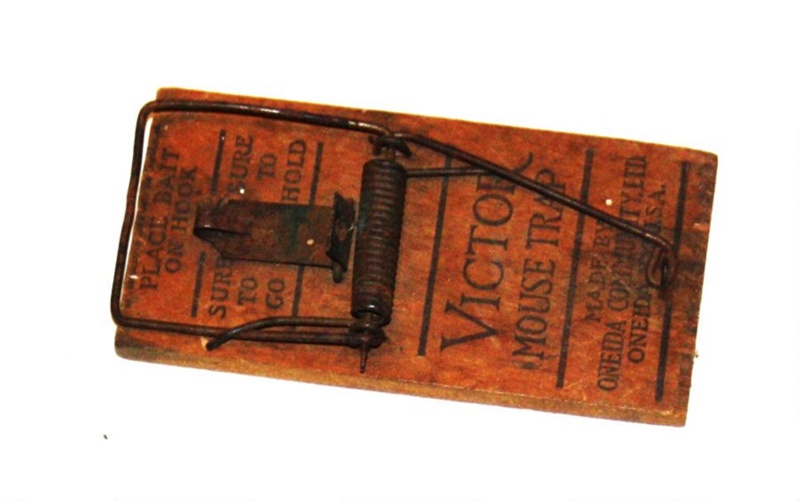 Mouse trap; CM.G062p | eHive