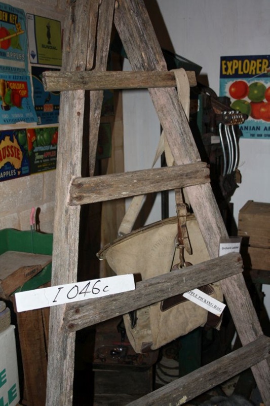 Ladder, three-legged; CM.I046c | eHive