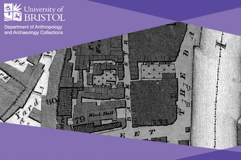 Disarticulated Cranial and Post-Cranial Elements from Rackhay ...
