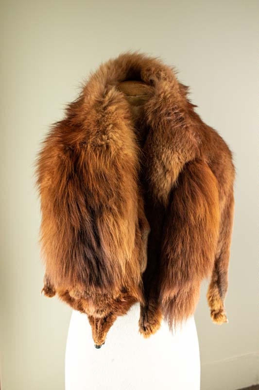 Long-haired fox fur, with head, tail and legs 1960s-1970s?; #166SSW | eHive