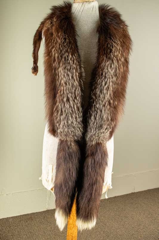 Dark fur with white tips, fox with single head and two dangling legs at ...