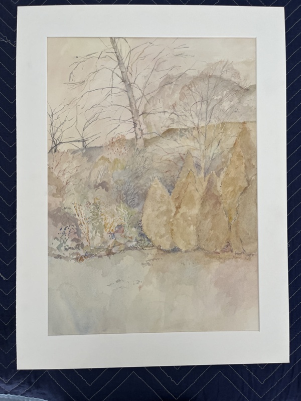 A Happy Crocodile of Shrubs; Jasper Rose; 1988; 091 | eHive