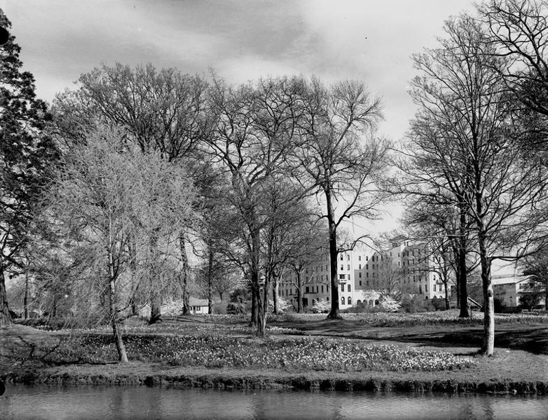 Christchurch Botanic Gardens, View Across the Avon River Beyond the ...