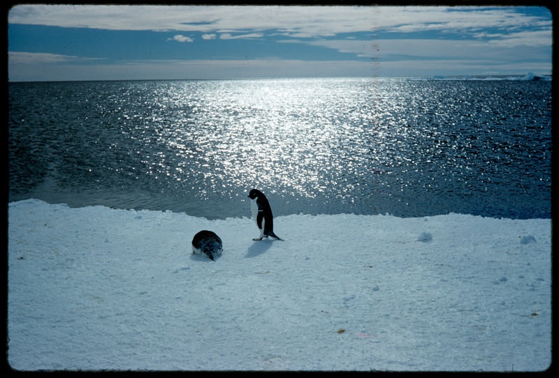Antarctica. Antarctic Hut Restoration Team Members Exploring the Cape ...