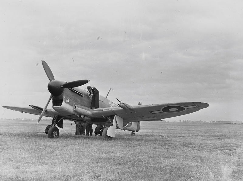 Aviation, Naval. Probably RAN, Royal Australian Navy, Fairey Firefly ...