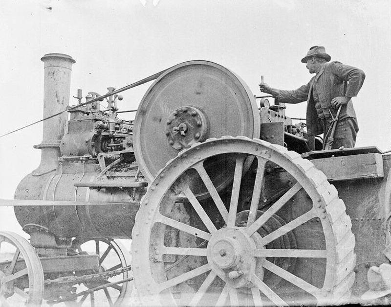 Rural. Traction engine at Work. Wheat Harvesting in Canterbury, New ...