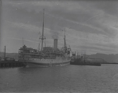 Shipping - "Tasman" 1921, 4922 GRT. Hospital Ship. A Dutch Registered ...