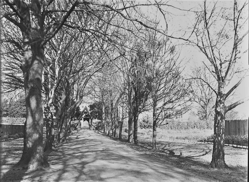 Church, Holy Trinity Anglican Church, Tree Lined Path and Lychgate ...
