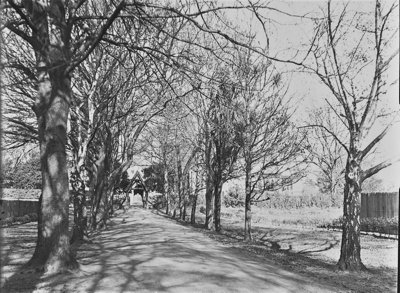 Church, Holy Trinity Anglican Church, Tree Lined Path and Lychgate ...