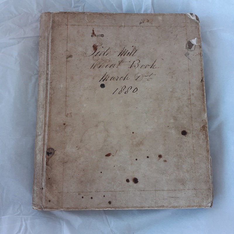 Tide Mill Log Book 1880 ; Unknown; T0014 | eHive