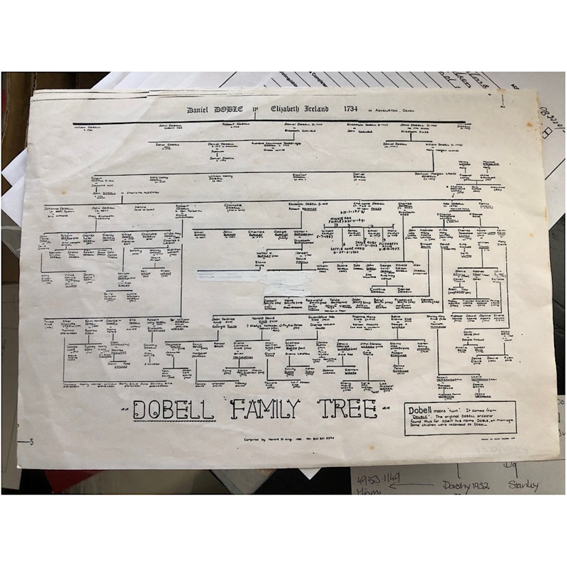 Family Tree of Dobell - Original; PB2000/388 | eHive