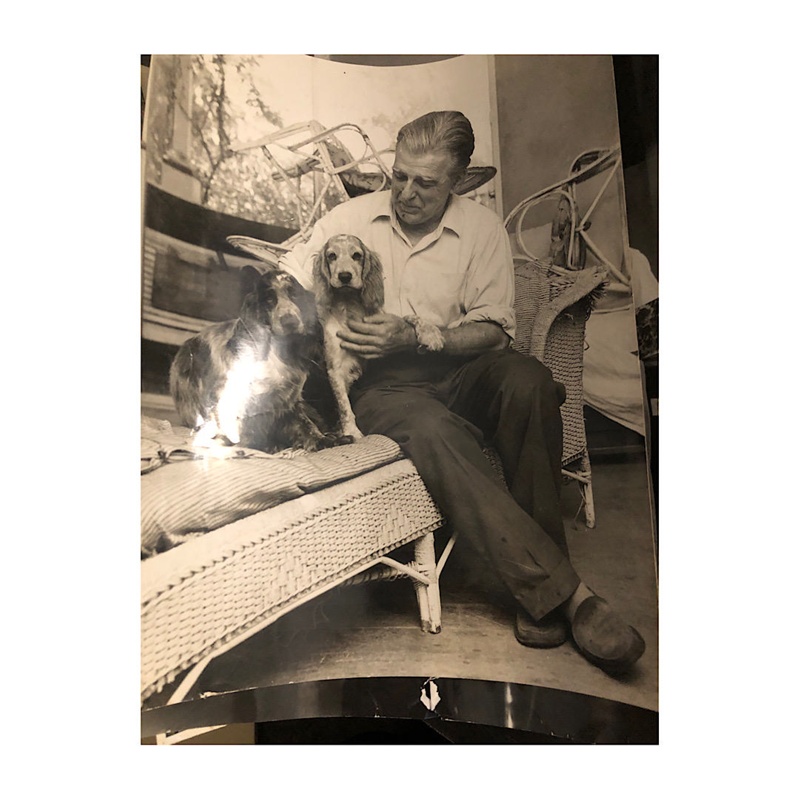 Photo - of Dobell sitting inside Dobell House with Dog; DHA110423000021 ...