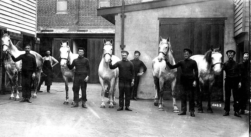 Photograph, Stables & Horses at Perth Fire Station; c1902; PH2003.018 ...