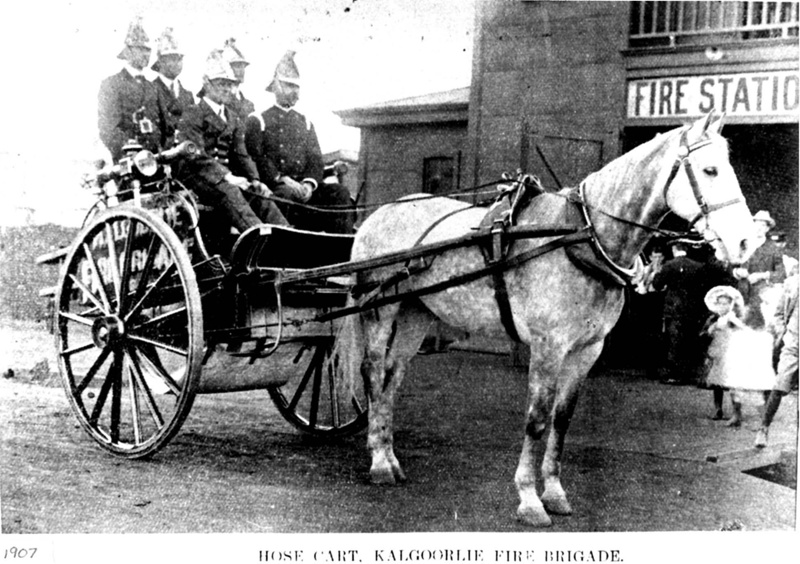 Photograph, Kalgoorlie Fire Brigade horse-drawn fire cart; c1907 ...