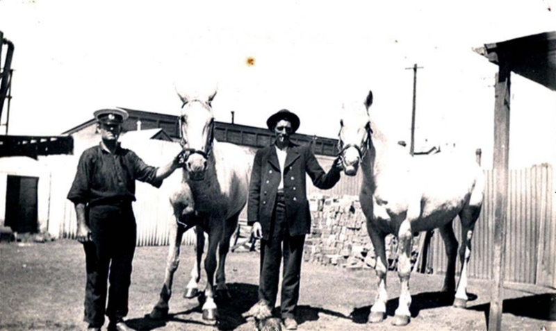 Photograph, Boulder Fire Station - Brigade Horses; c1920; PH2003.257 ...