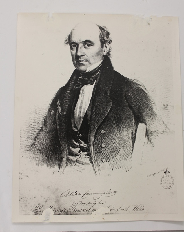 Allan Cunningham - Portrait; Mitchell Library NSW; 2008.392 | eHive