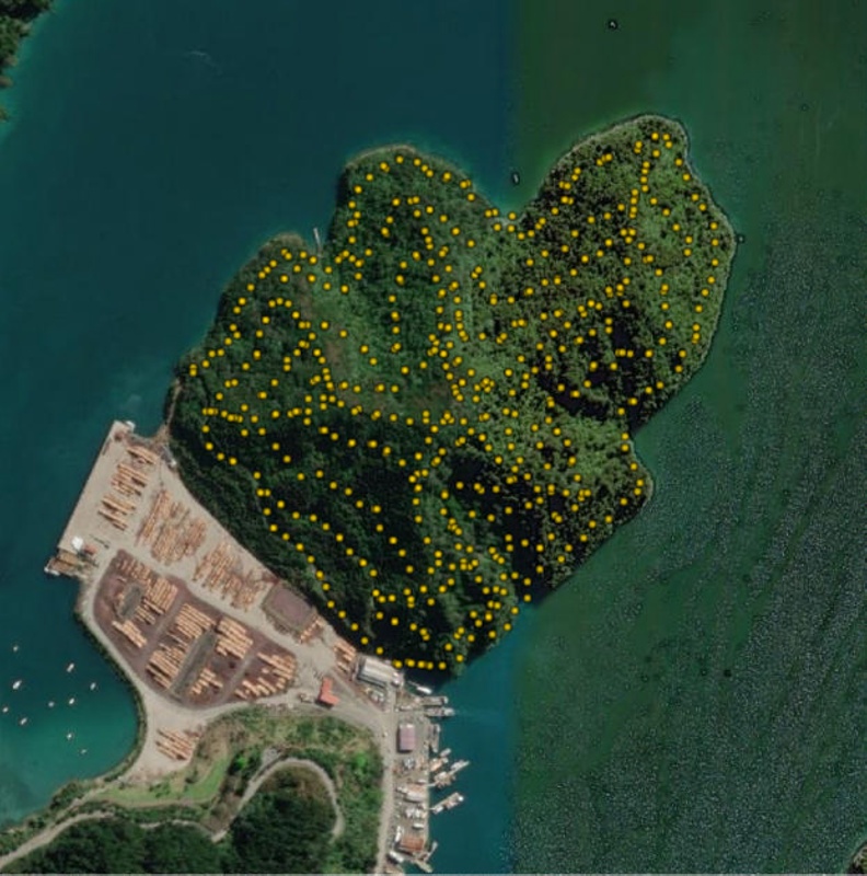 Pest Eradication, Monitoring and Control | eHive