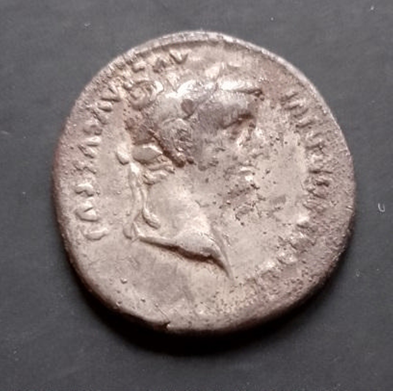 Roman denarius coin of Tiberius; 14 - 37 CE; MASMG2009-88.20 | eHive