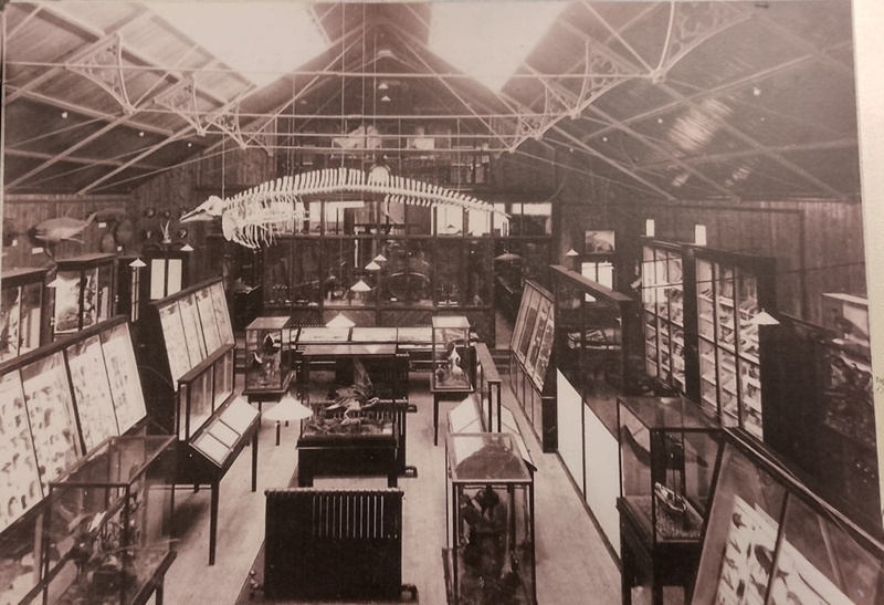Photograph of the original Mansfield Museum; c.1904; MASMG2024-24.3 | eHive