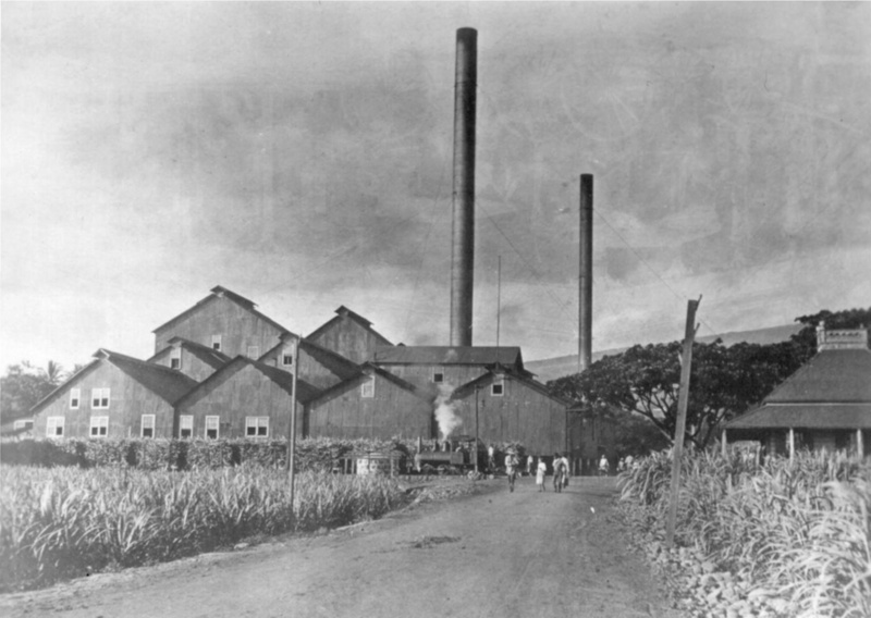 Photograph - Pioneer Mill Co. Mill; 1908; 2023.002.0199 | eHive