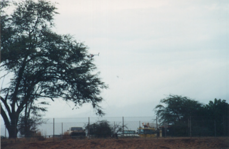 Photograph - Hurricane Iniki; September 11 1992; 2023.005.0037 | eHive