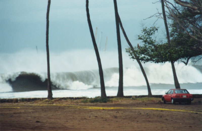 Photograph - Hurricane Iniki; September 11 1992; 2023.005.0027 | eHive