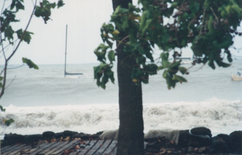 Photograph - Hurricane Iniki; September 11 1992; 2023.005.0034 | eHive