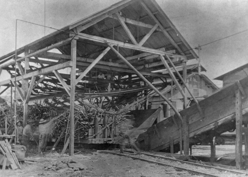 Photograph - Pioneer Mill Co. Mill; 1908; 2023.002.0201 | eHive