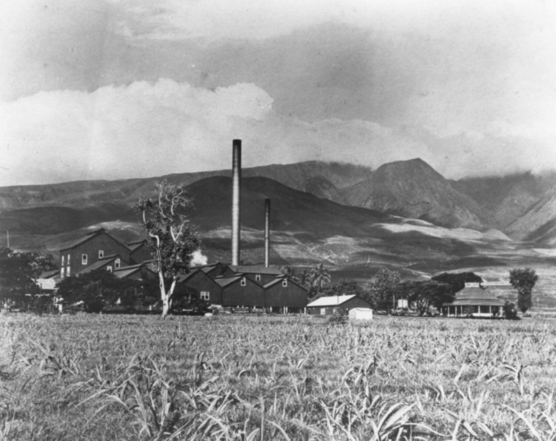 Photograph - Pioneer Mill Co. Mill; 1908; 2023.002.0197 | eHive