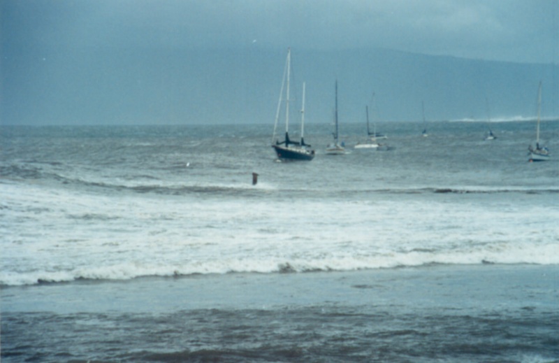 Photograph - Hurricane Iniki; September 11 1992; 2023.005.0052 | eHive