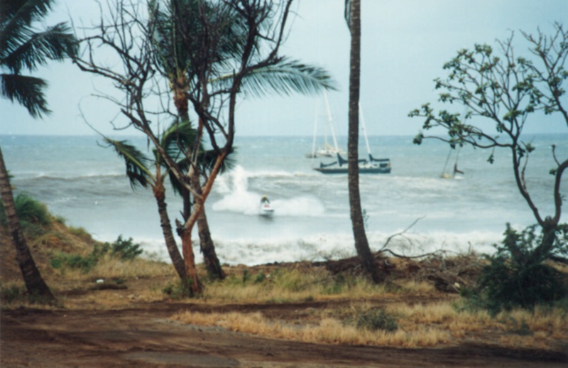 Photograph - Hurricane Iniki; September 11 1992; 2023.005.0032 | eHive